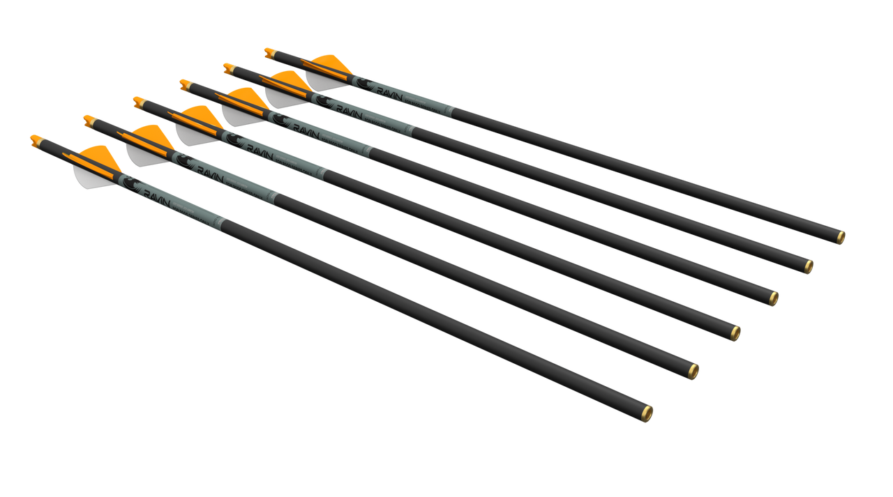 .003 R500 Series 6 Pack Arrows by Ravin - camp-expert.com
